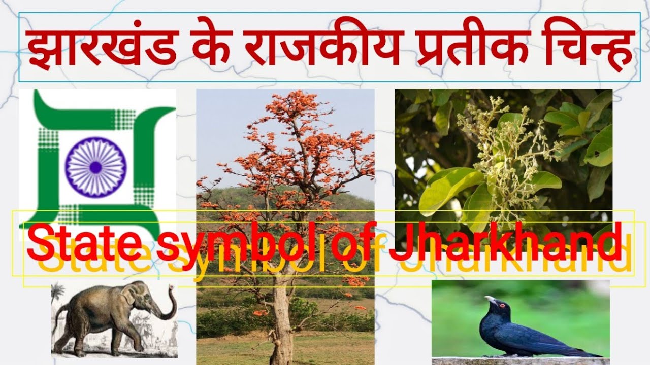 Jharkhand ka Rajkiya Pratik chinh kya hai | Jharkhand state symbol ...