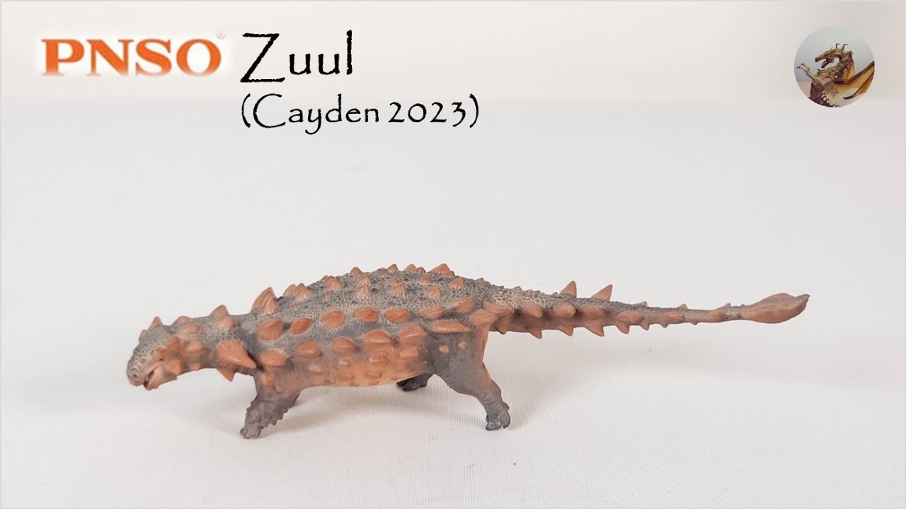269: PNSO Zuul (Cayden 2023) Review - YouTube