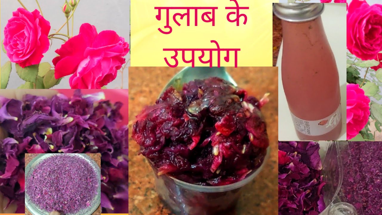 rose gulkand gulab k phool ka gulkand kaise bnao ge/use of rose petals ...