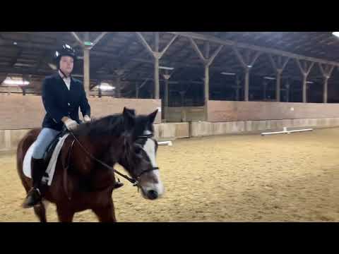 Better Dressage Scores January Show 2024 May Pritchard, Wisdom, USDF ...