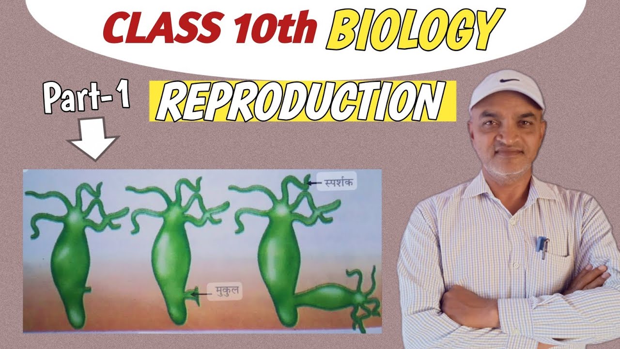 PART:-1 REPRODUCTION जीव जनन कैसे करते हैं।BIOLOGY CLASS 10TH । लैंगिक ...