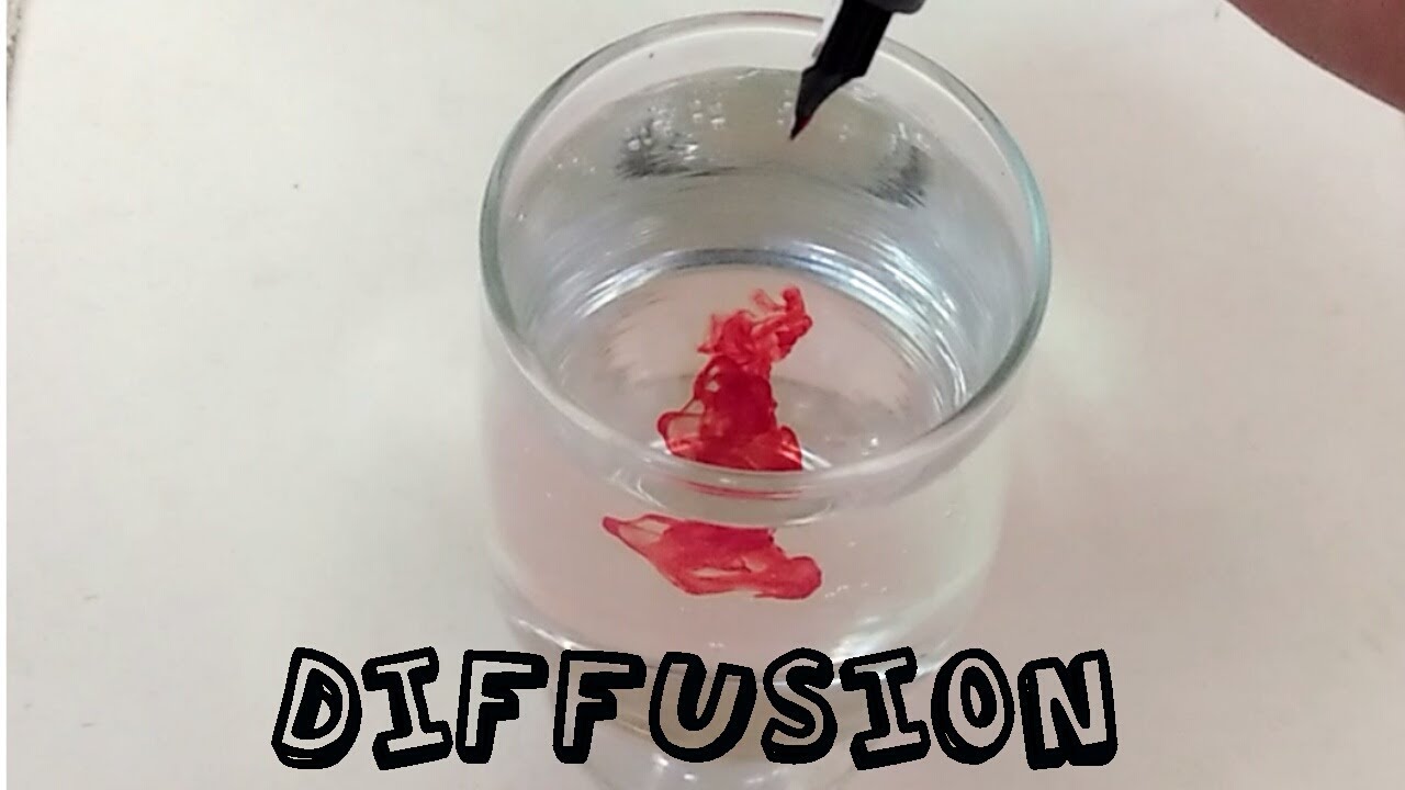 Diffusion | Ink and water | Water and petrol |Milk and Honey - YouTube