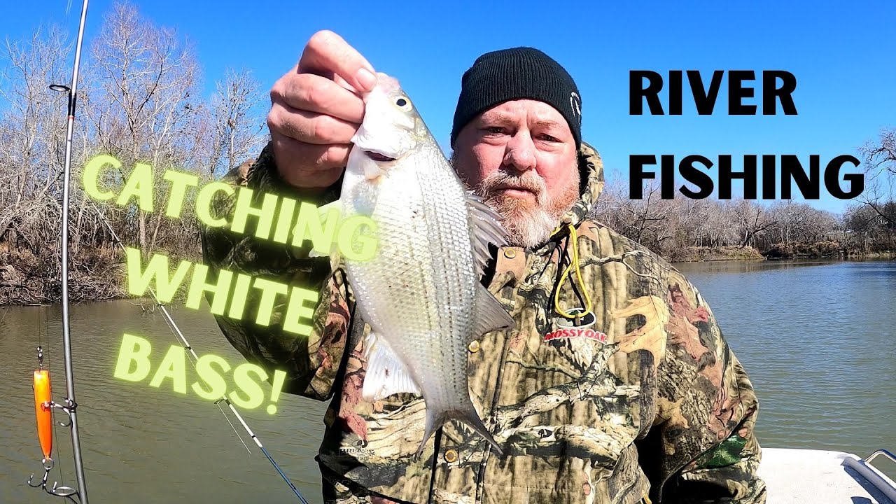 Fishing for White Bass on the River | We Found them! - YouTube