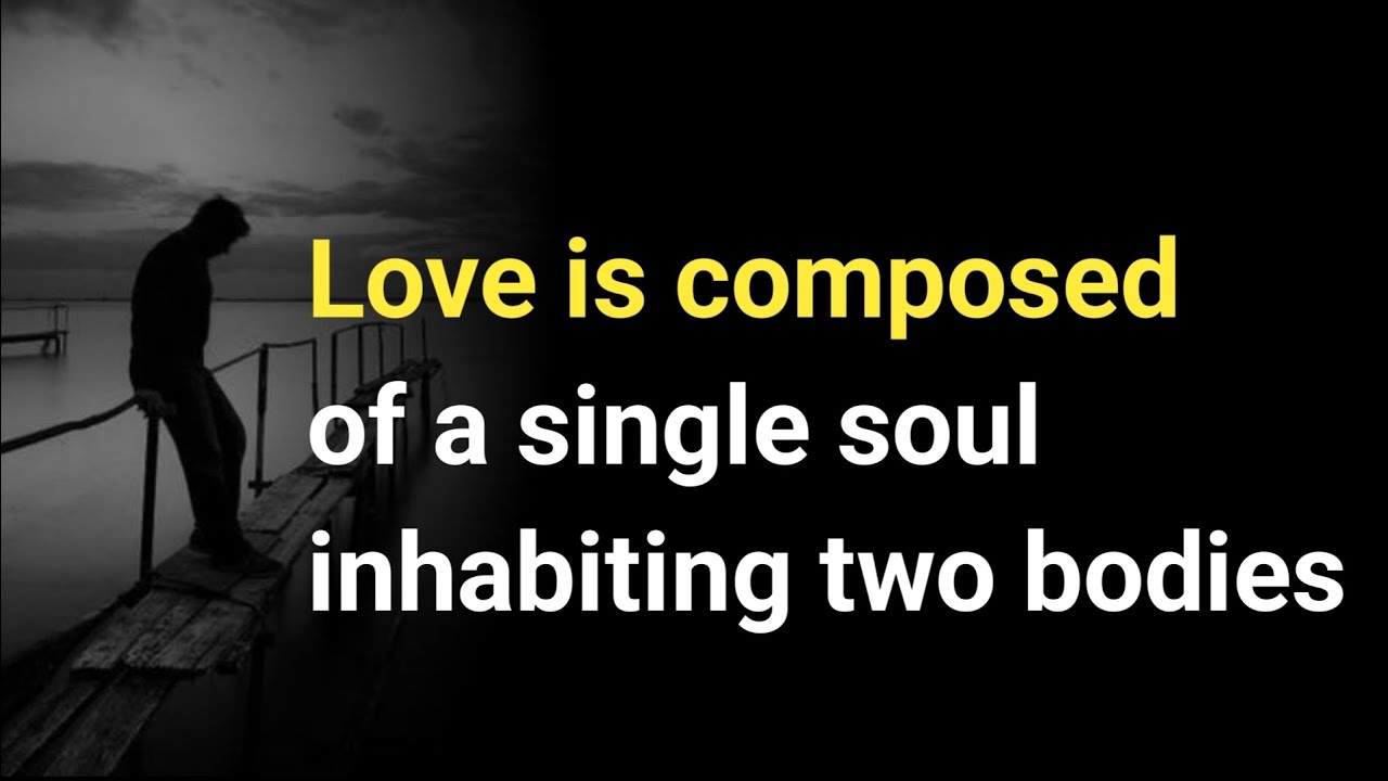 Love is composed of a single soul inhabiting two bodies | Relationship ...