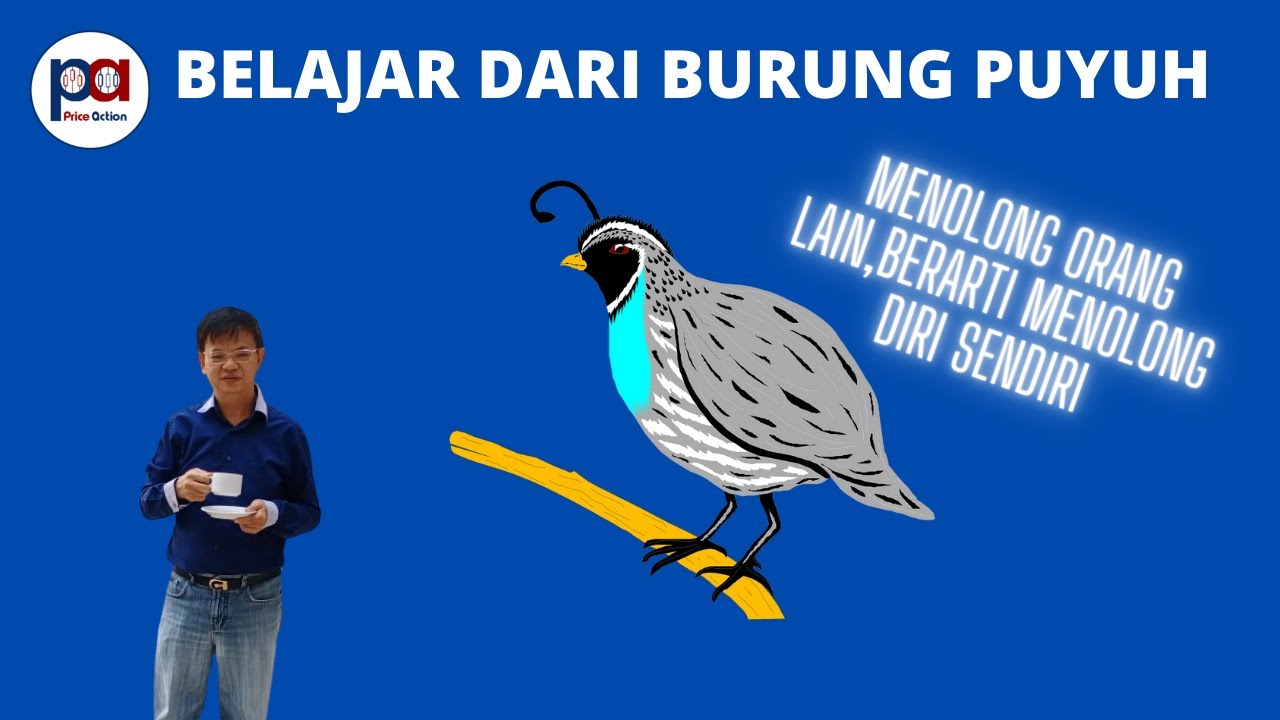 Belajar Hikmat Dari Burung Puyuh | Wisdom Of Life - YouTube