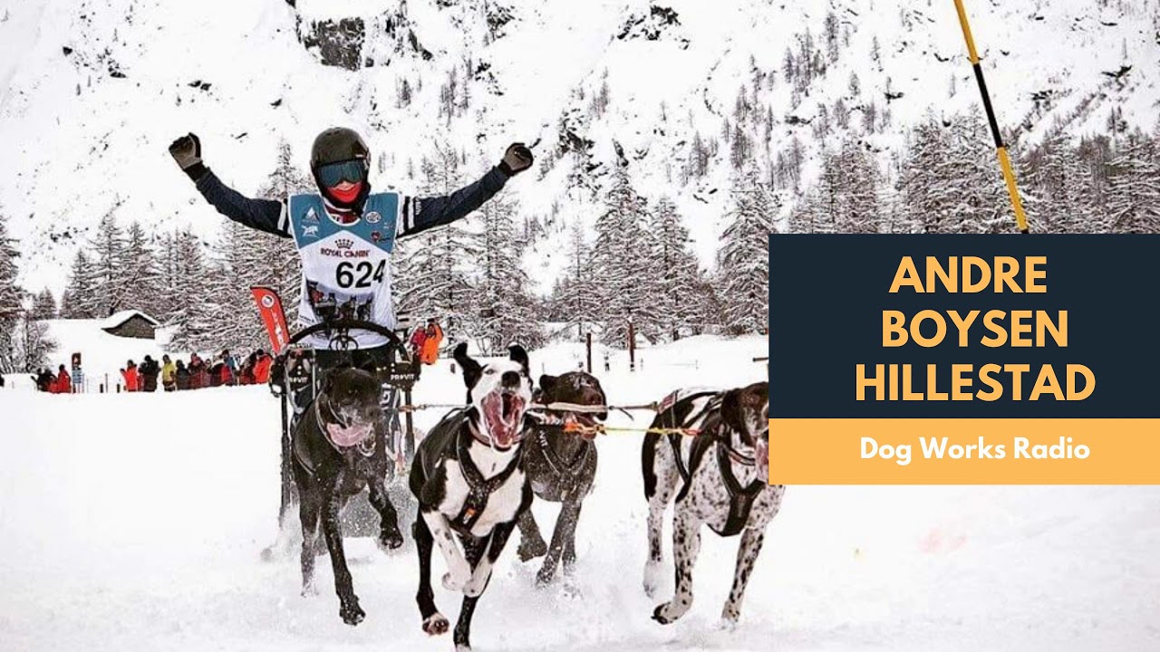 Sprint Musher Andre Boysen Hillestad - YouTube