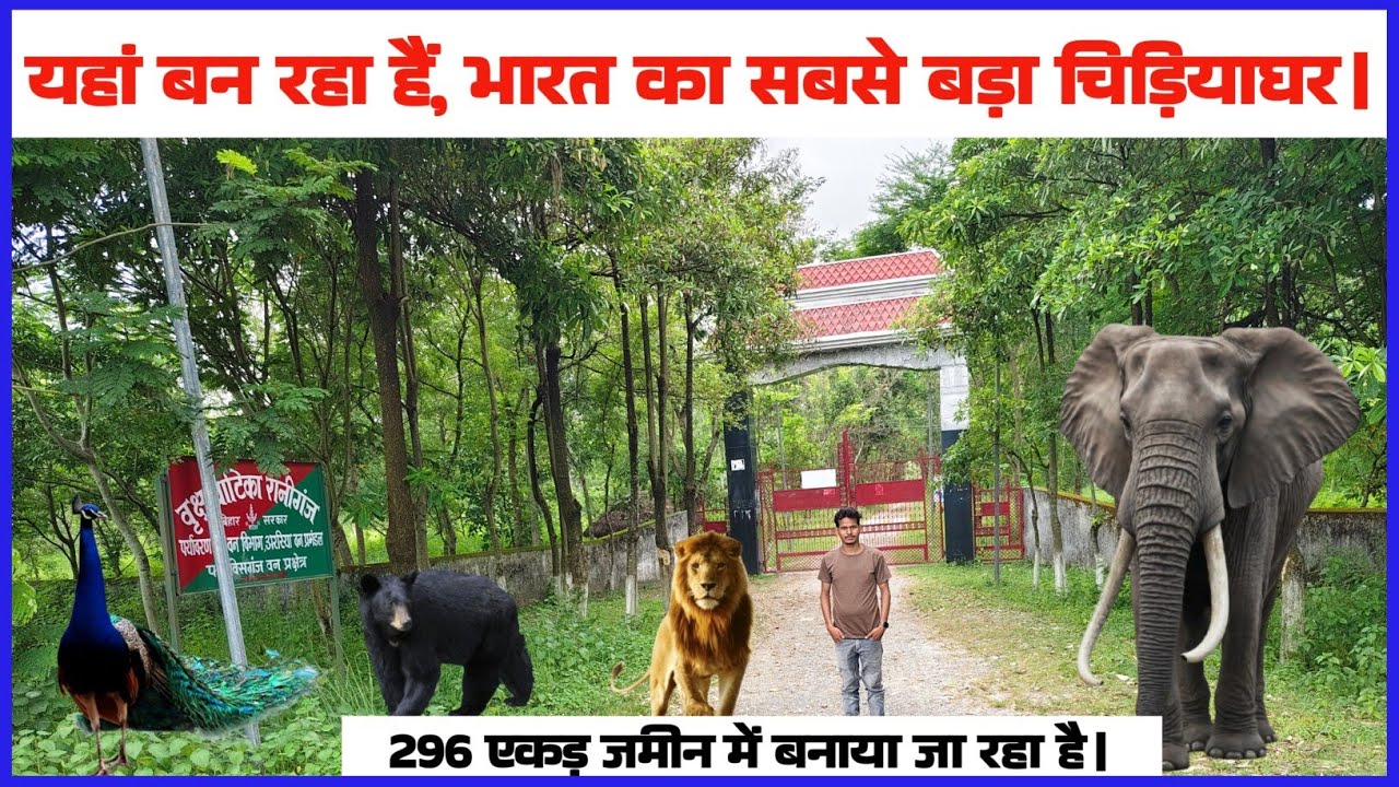 भारत का सबसे बड़ा चिड़ियाघर/ India's Biggest Zoo/ Vruksh Vatika ...