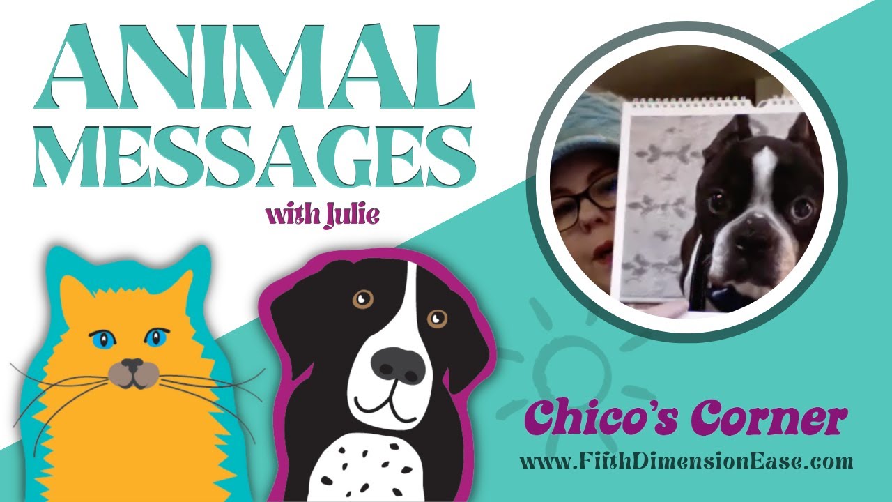 Animal Messages with Julie! - Dog's Humping and Aggressive Behavior ...