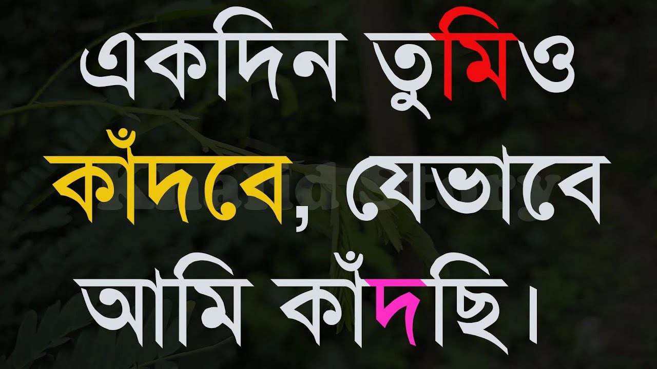 একদিন তুমি কাঁদবে-Life changing motivational quotes in Bangla ...