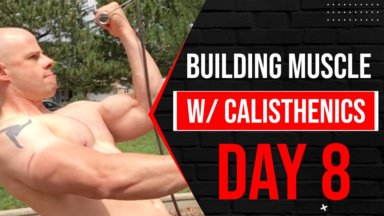 Building Muscle w/ Calisthenics #8, Training Environments and Rep Range ...