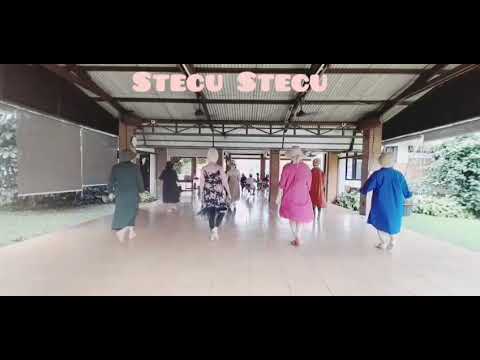 Stecu Stecu Line Dance Demo Happy Dance - YouTube