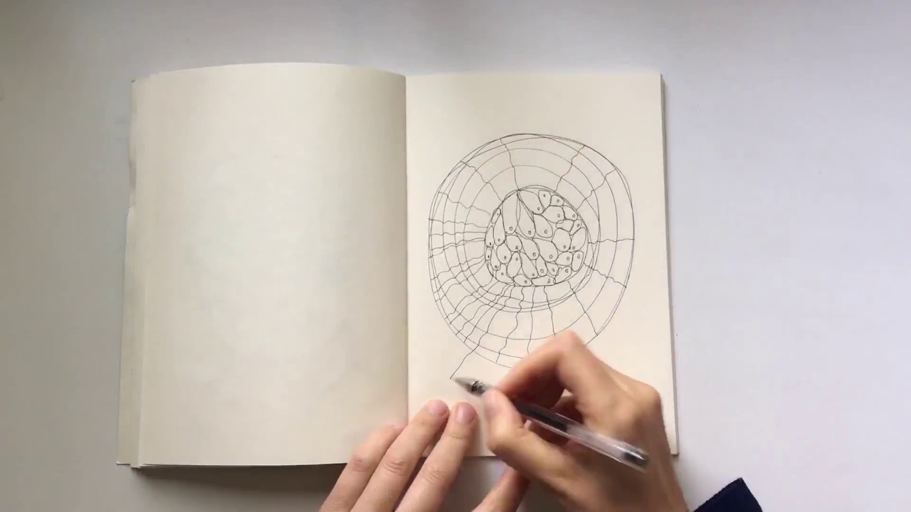 Channeled Drawing May 3, 2917 - Creation Center - YouTube