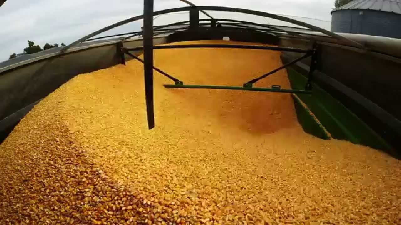 Loading and unloading Corn time-laps - YouTube