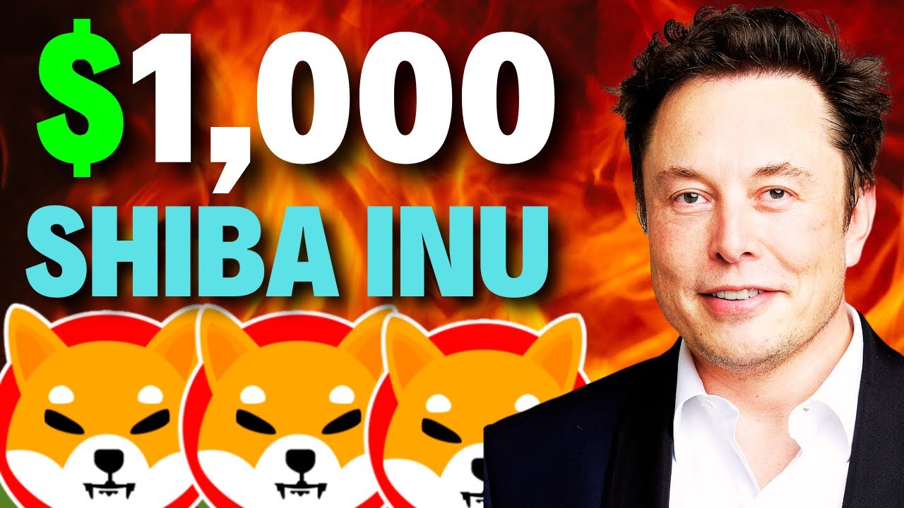 SHIB CEO LEAKED: If You Hold Just $1,000 In Shiba Inu Coins You’re ...