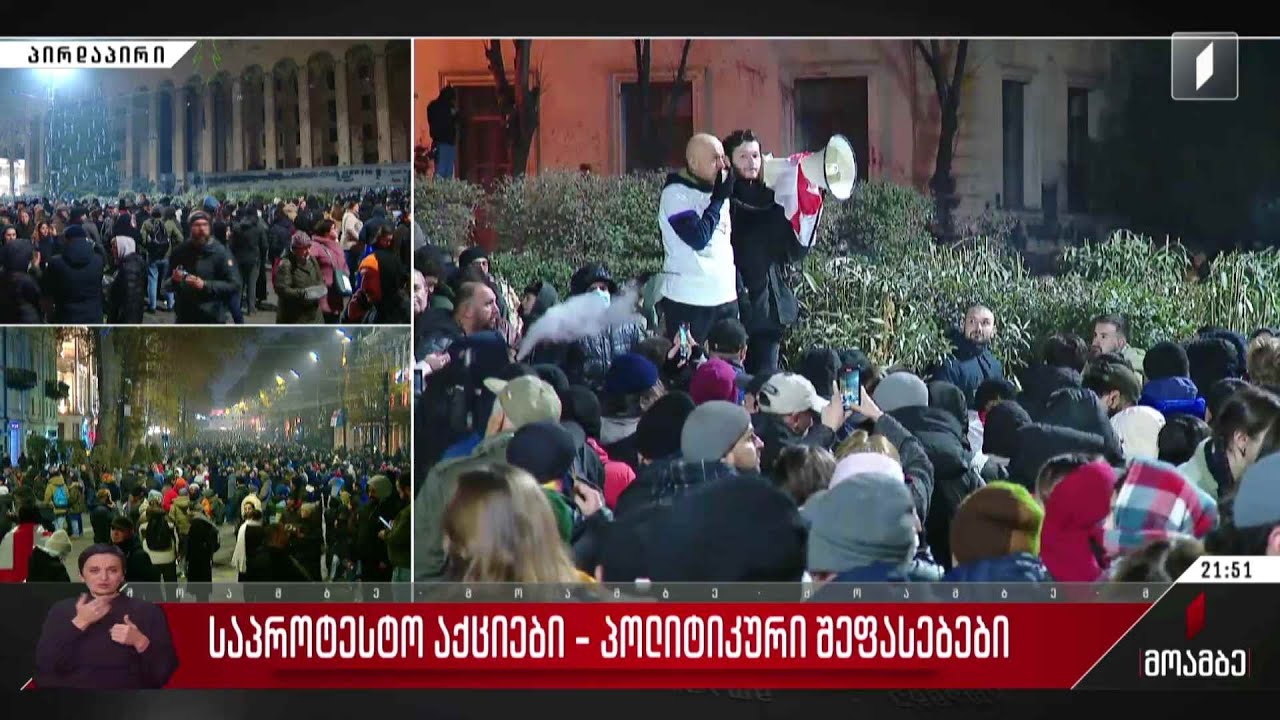 საპროტესტო აქციები პოლიტიკური შეფასებები Youtube