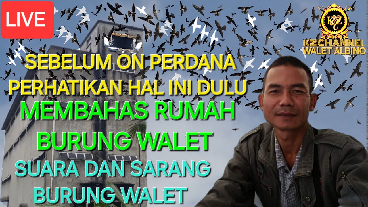 LIVE || SEBELUM ON PERDANA INI HAL PENTING YANG HARUS DIPERHATIKAN ...