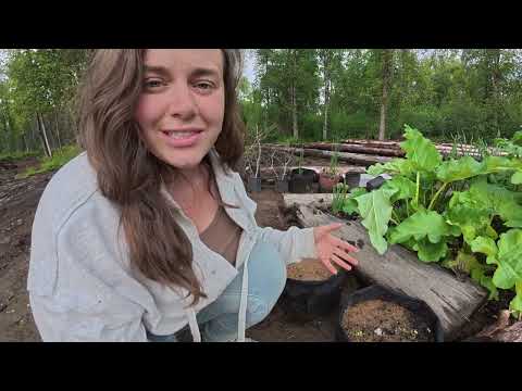 July Garden Update 2026