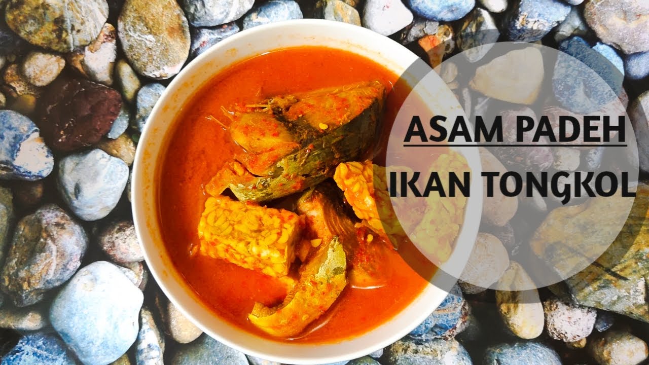 ASAM PADEH IKAN TONGKOL KHAS MINANG, MENU FAVORIT RUMAH MAKAN PADANG ...