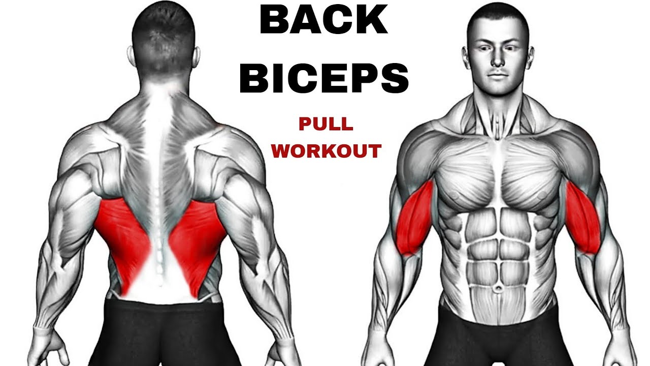 Complete " Pull Day Workout " for Muscle Growth - ree workout - YouTube