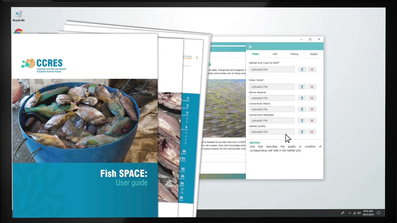 Guide to: Fish SPACE - YouTube