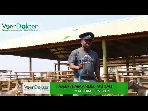 the importance of voerdokter in our animal #mathuba_genetics - YouTube