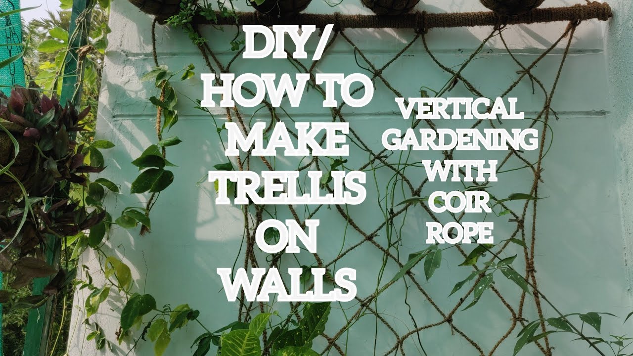 How to make Trellis/Panel on wall with coir rope for vines🌿DIY🌿VERTICAL ...