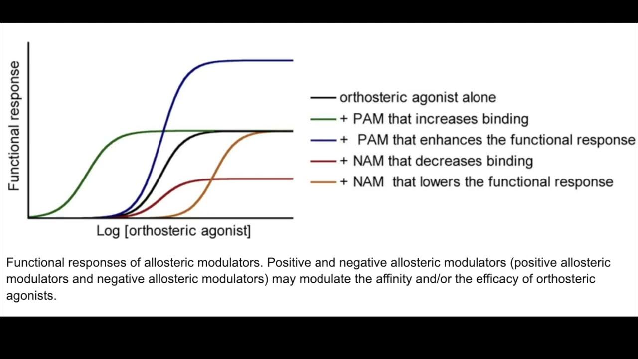 Positive Allosteric Modulators Pams And Negative Allosteric