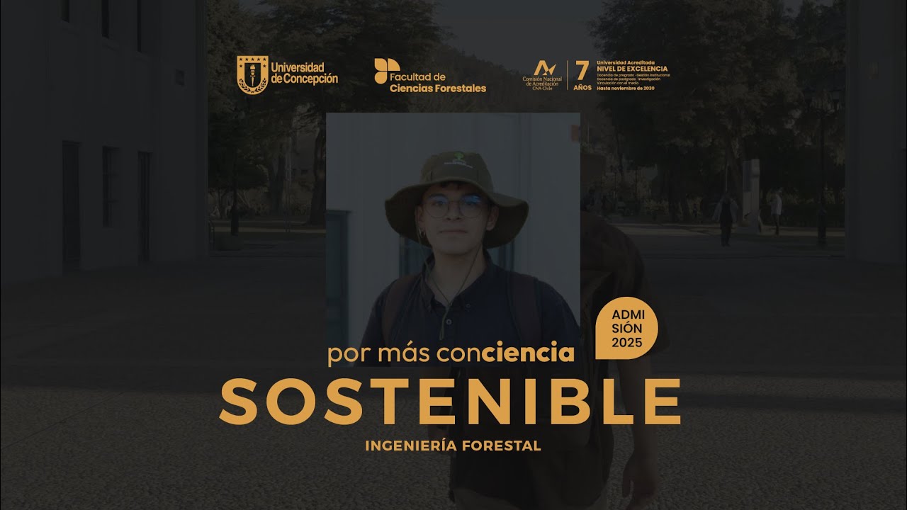 🌳 Volver a las raíces para construir un futuro sostenible 🌍 - YouTube