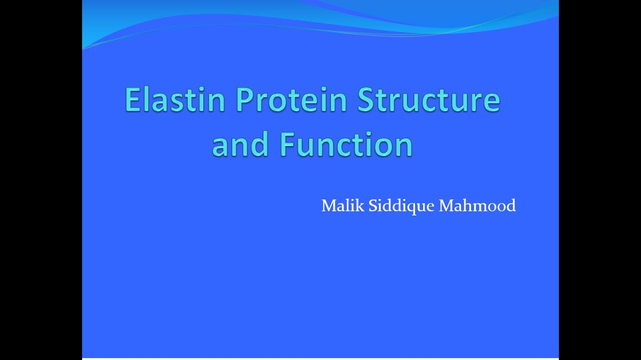 ELASTIN Protein Structure and Function - YouTube