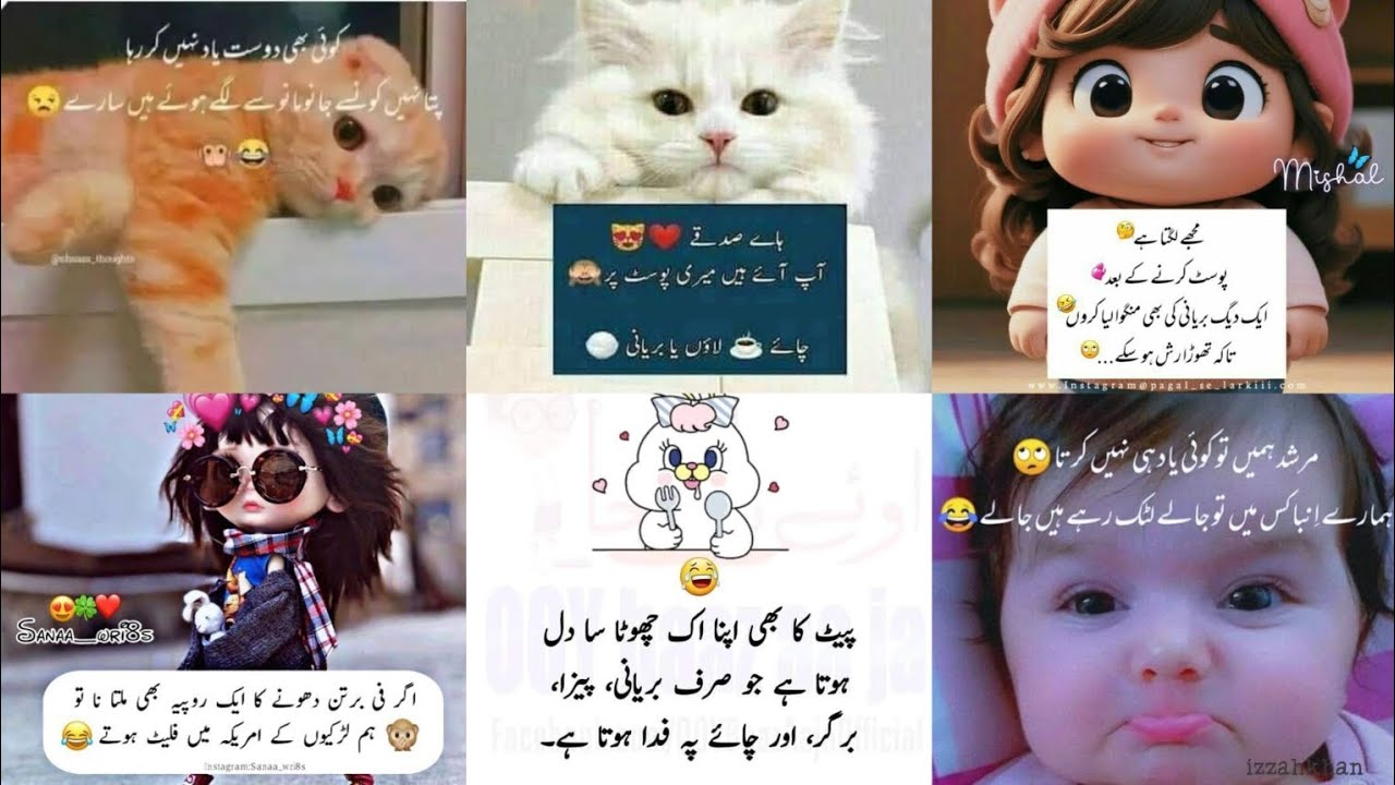 Pet Ka Bhi EK Chhota Sa Dil Hai . 🤣🤣🤣🤣 Lateefo Ka Tufaan - YouTube