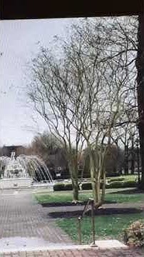 17SP UNIV500 Reflection -Sammy - YouTube