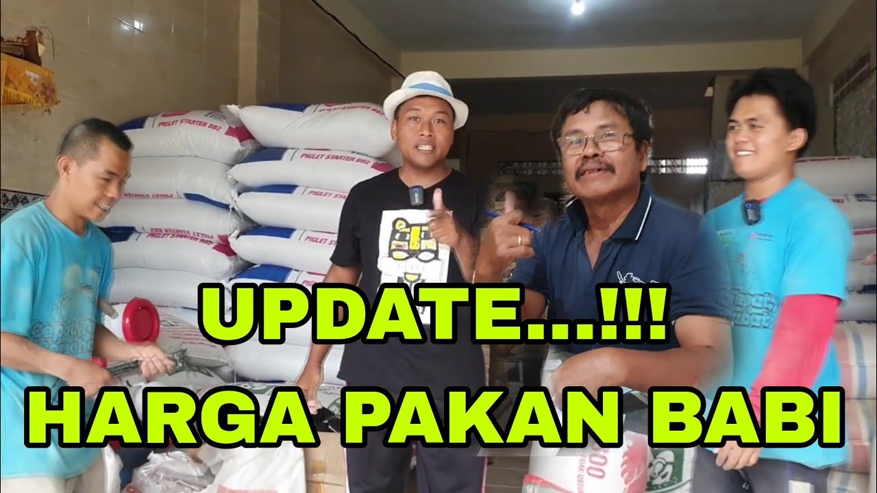 UPDATE !!! HARGA PAKAN BABI BULAN PEBRUARI. Peternakan Babi Di Bali ...