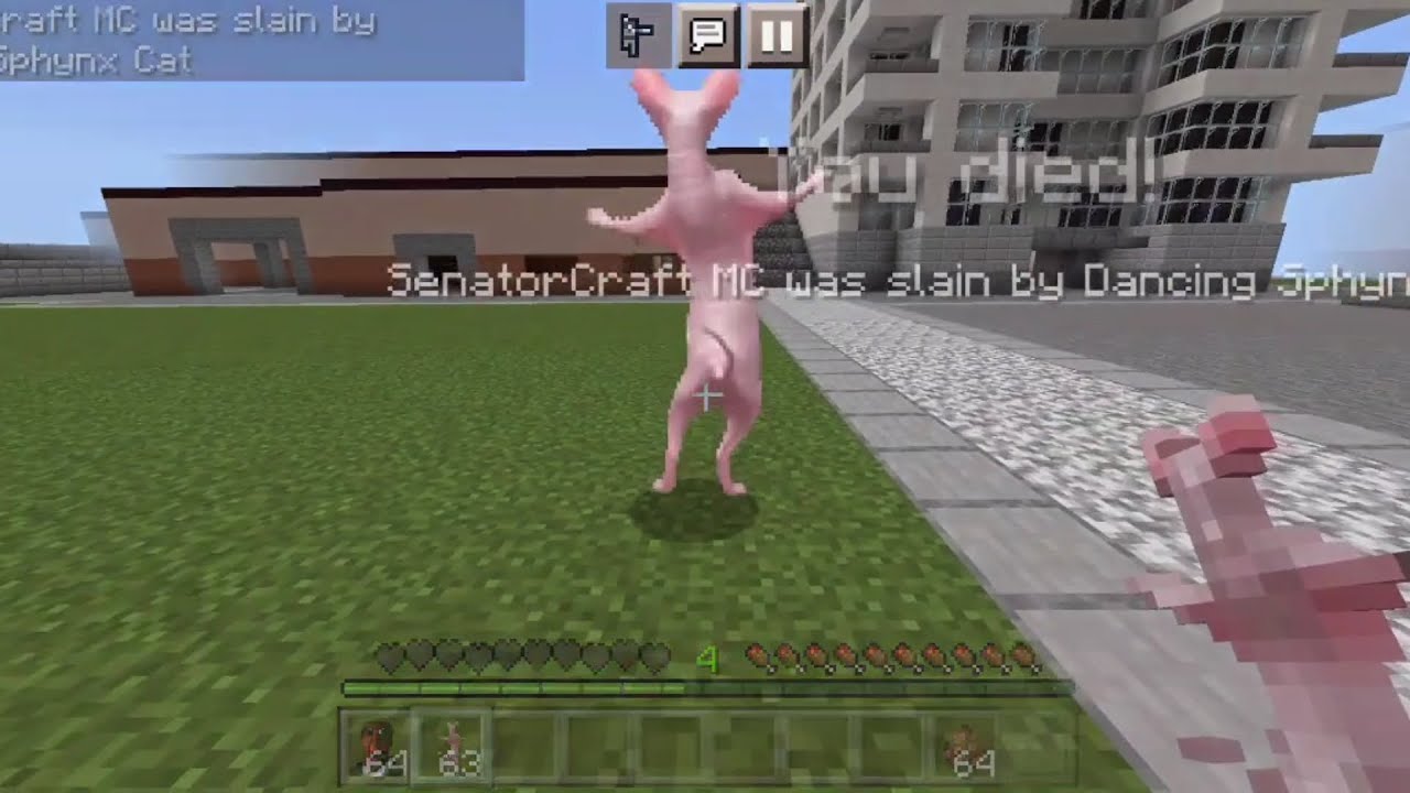 Sancing Sphynx Cat Nextbot Added in Minecraft PE | #minecraftpeaddons ...