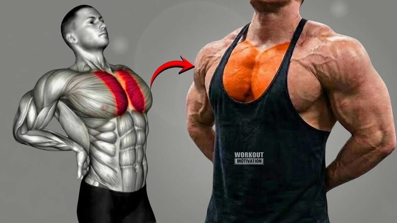 11 Best Exercises to Grow Inner Pecs Line - YouTube