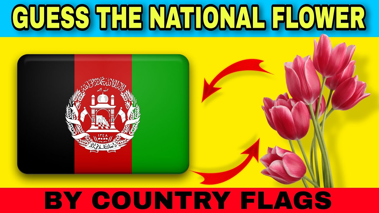 The National Flower Of Iraq | Best Flower Site