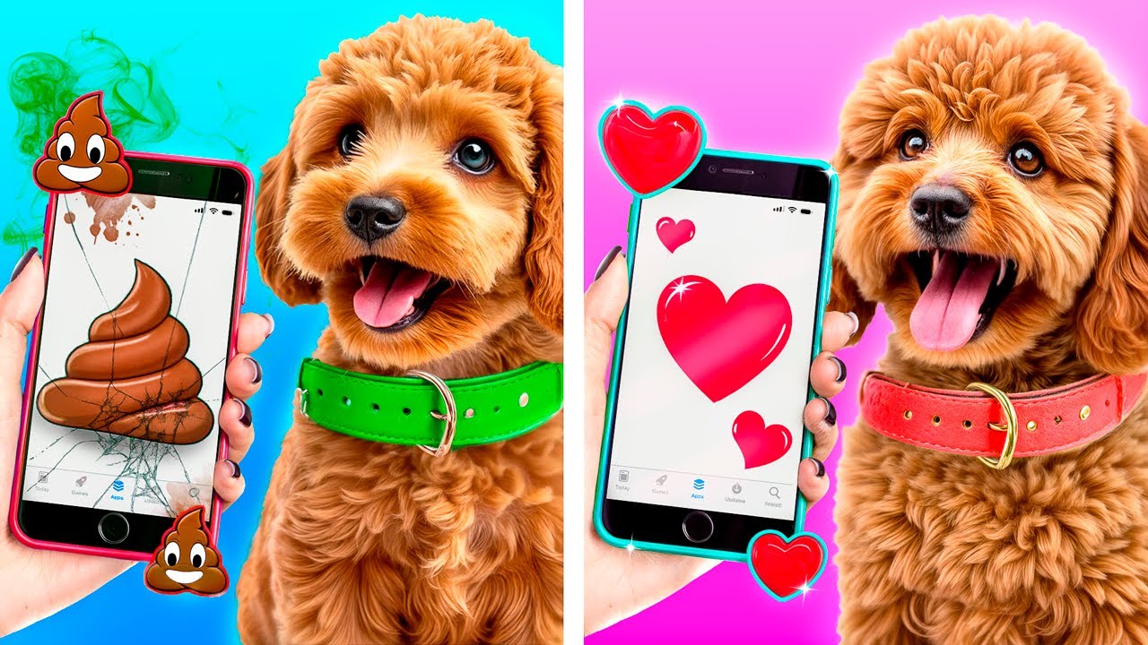 From Nerd to Popular Elements! Four Elements Pets in Real Life! - YouTube