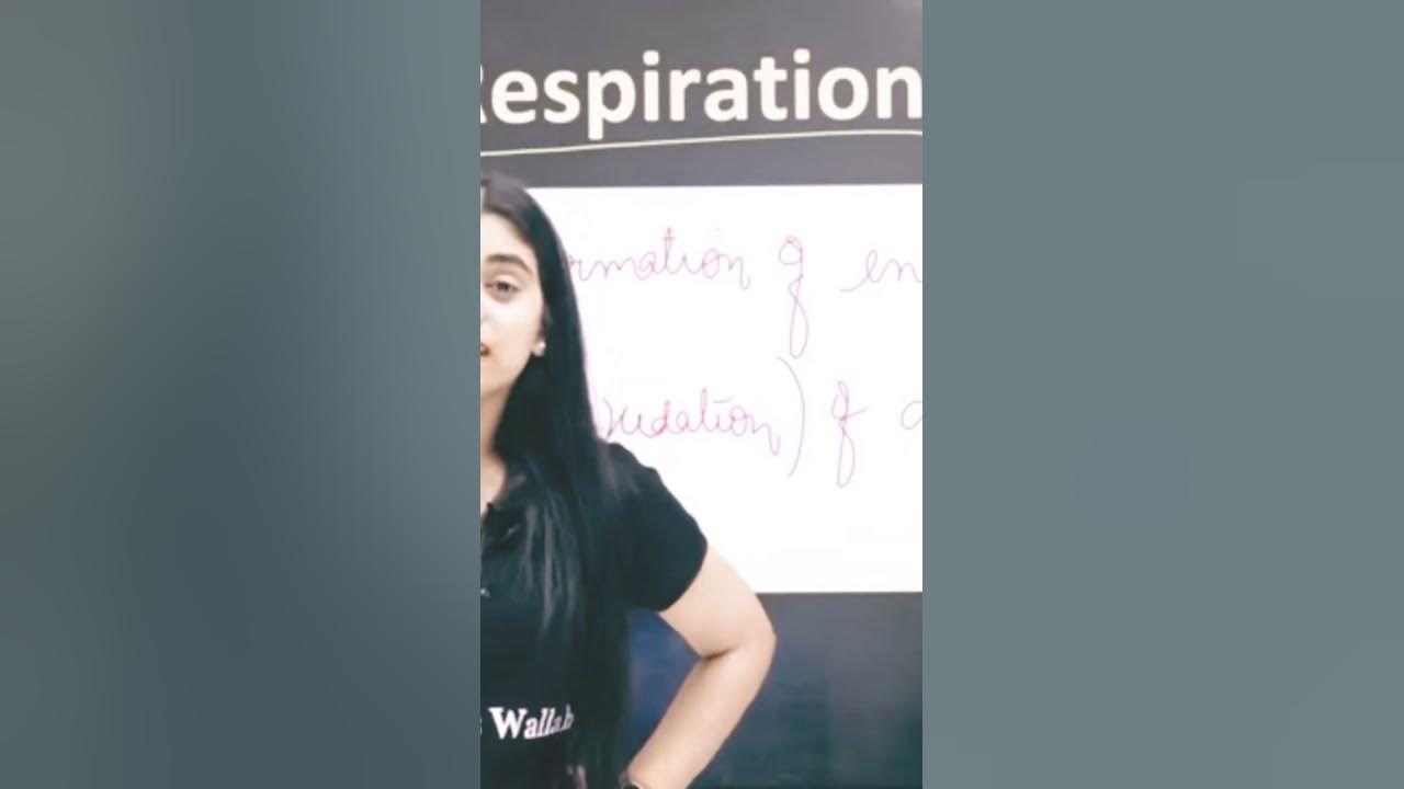 Hardest NEET Motivation PW YouTube hardest-neet-motivation-pw-youtube