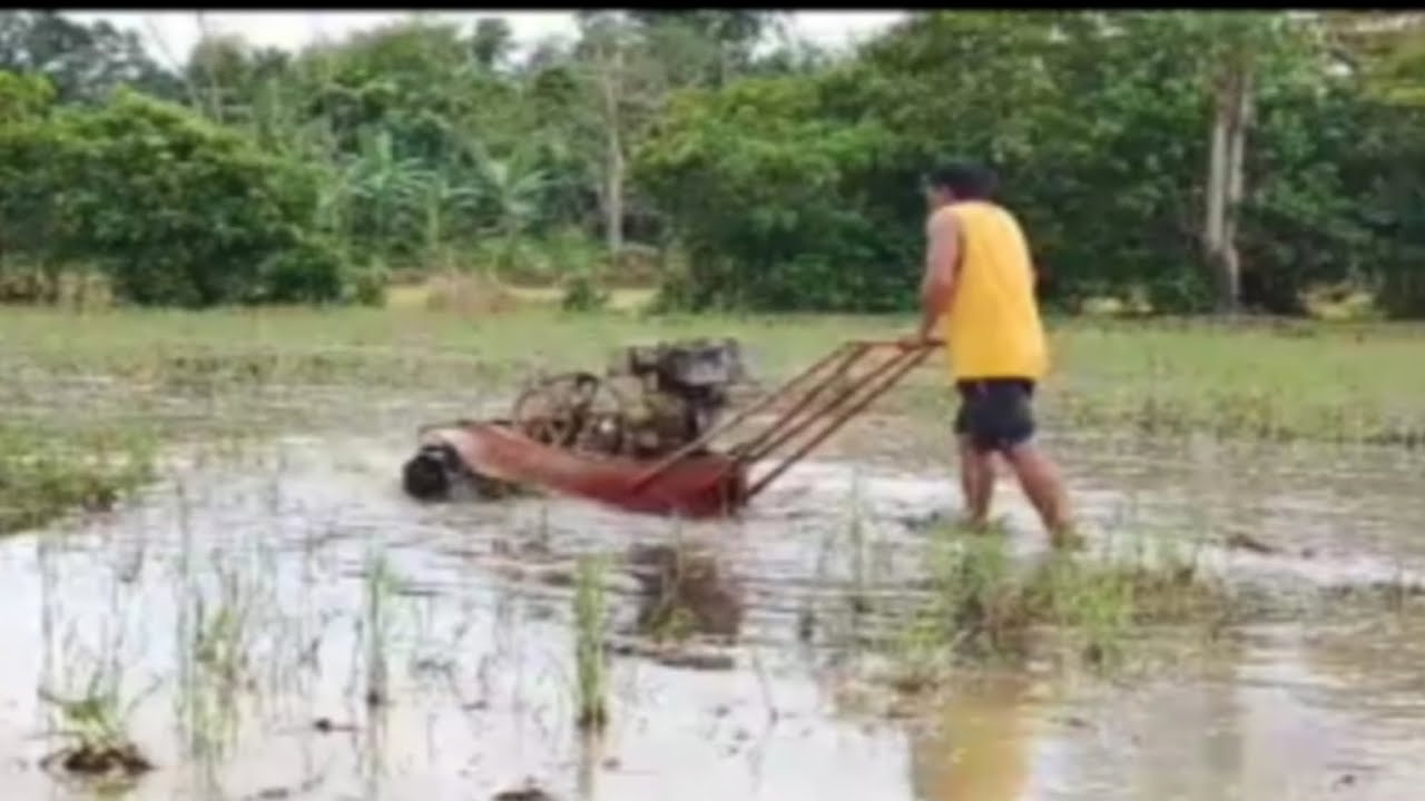 MY BROTHER PLOWING THE FIELDS USING TURTLE MACHINE||COUNTRYSIDE LIFE # ...