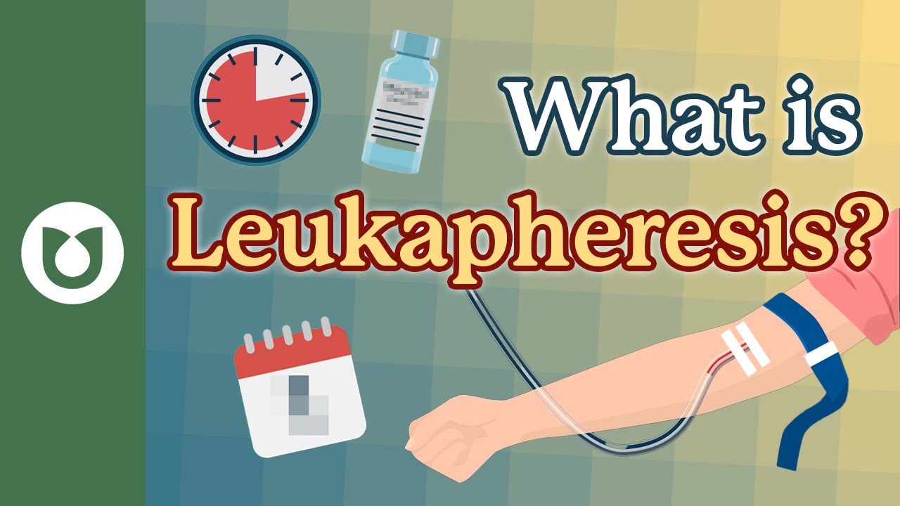 What is leukapheresis? #myeloma - YouTube