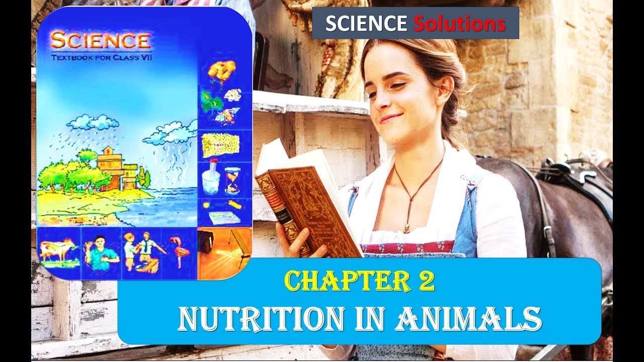 Nutrition in Animals CLASS 7 SCIENCE NCERT SOLUTIONS CHAPTER 2 - YouTube