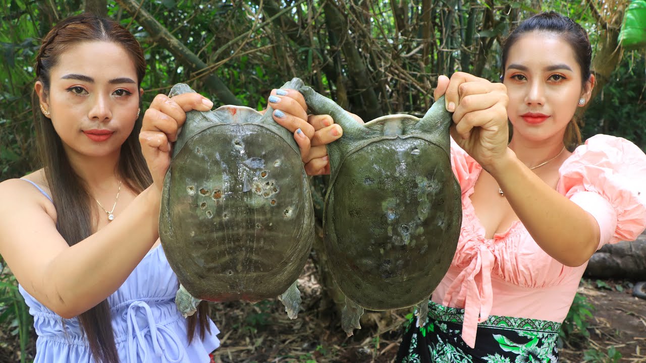 Amazing cooking Roasted Turtle with salt and chili sauce recipe - YouTube