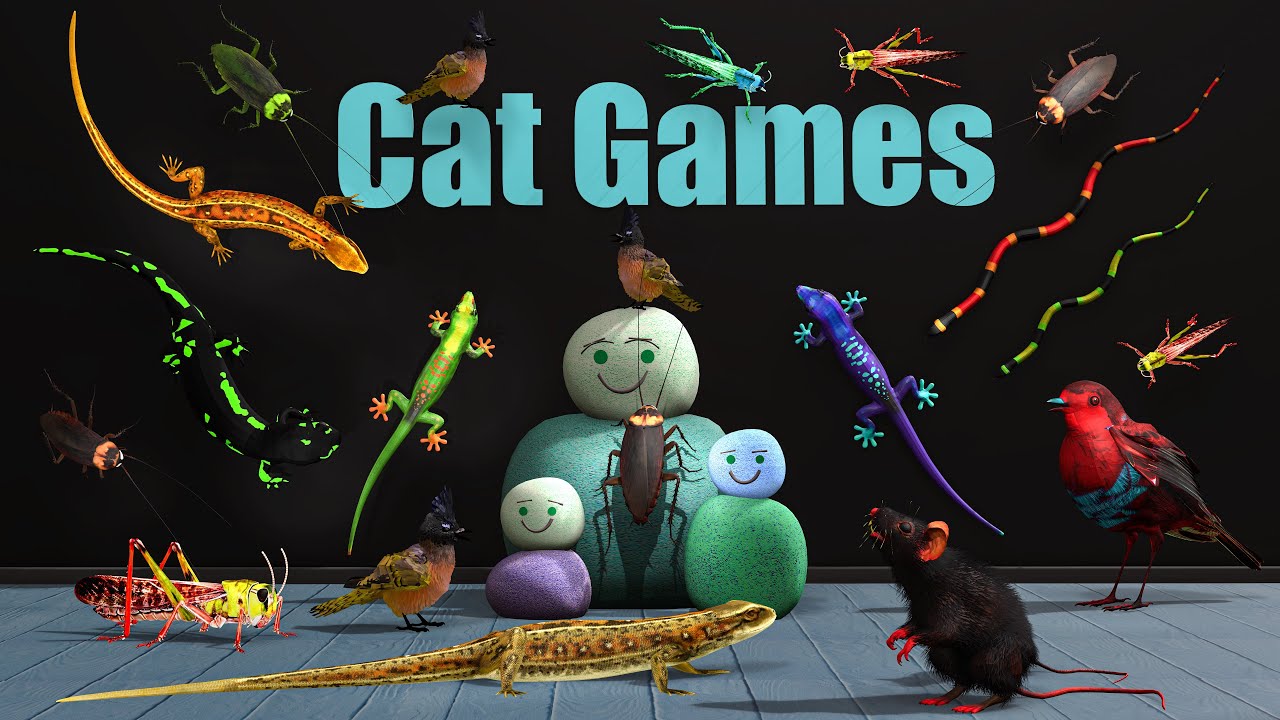 Cat TV – Real Lizards, Birds, Bugs & Mouse Moving on Screen for Cats ...