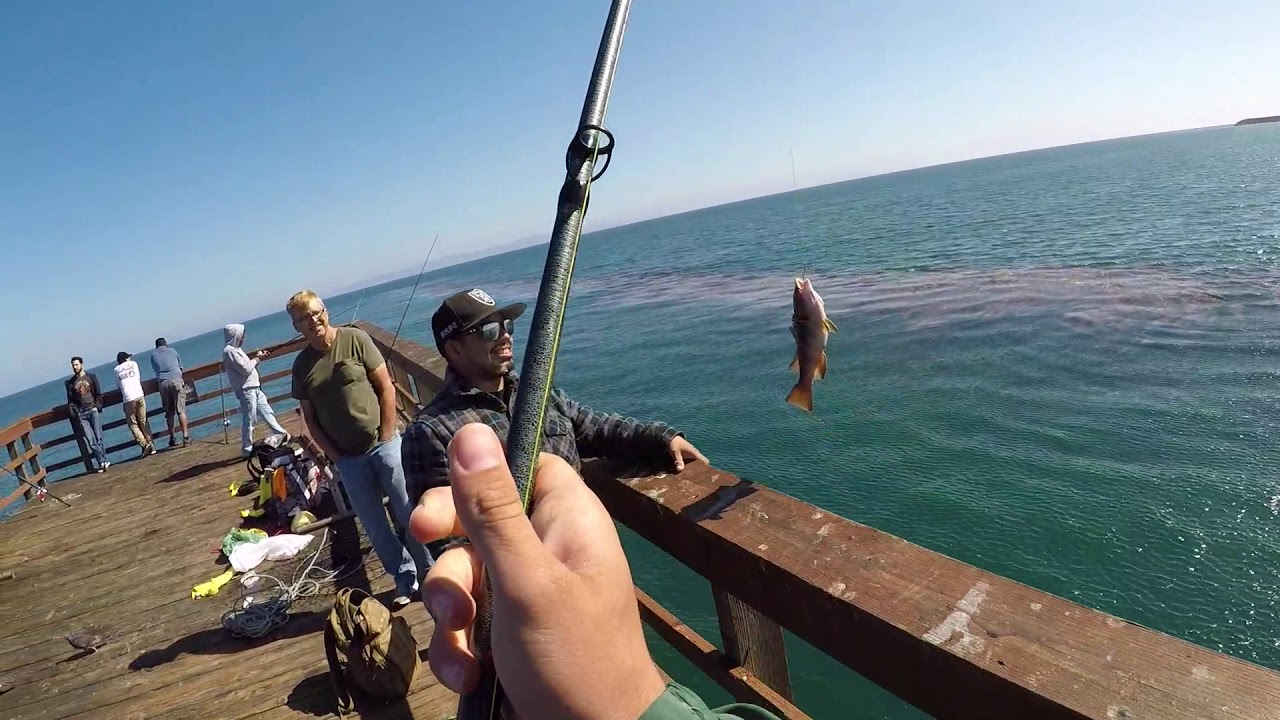 Goleta pier fishing 7/20/19 (3 species caught) - YouTube