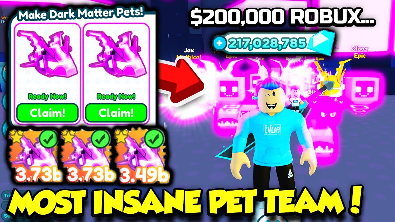 Spending $200,000 ROBUX To Get AN INSANE PET TEAM In Pet Simulator X ...