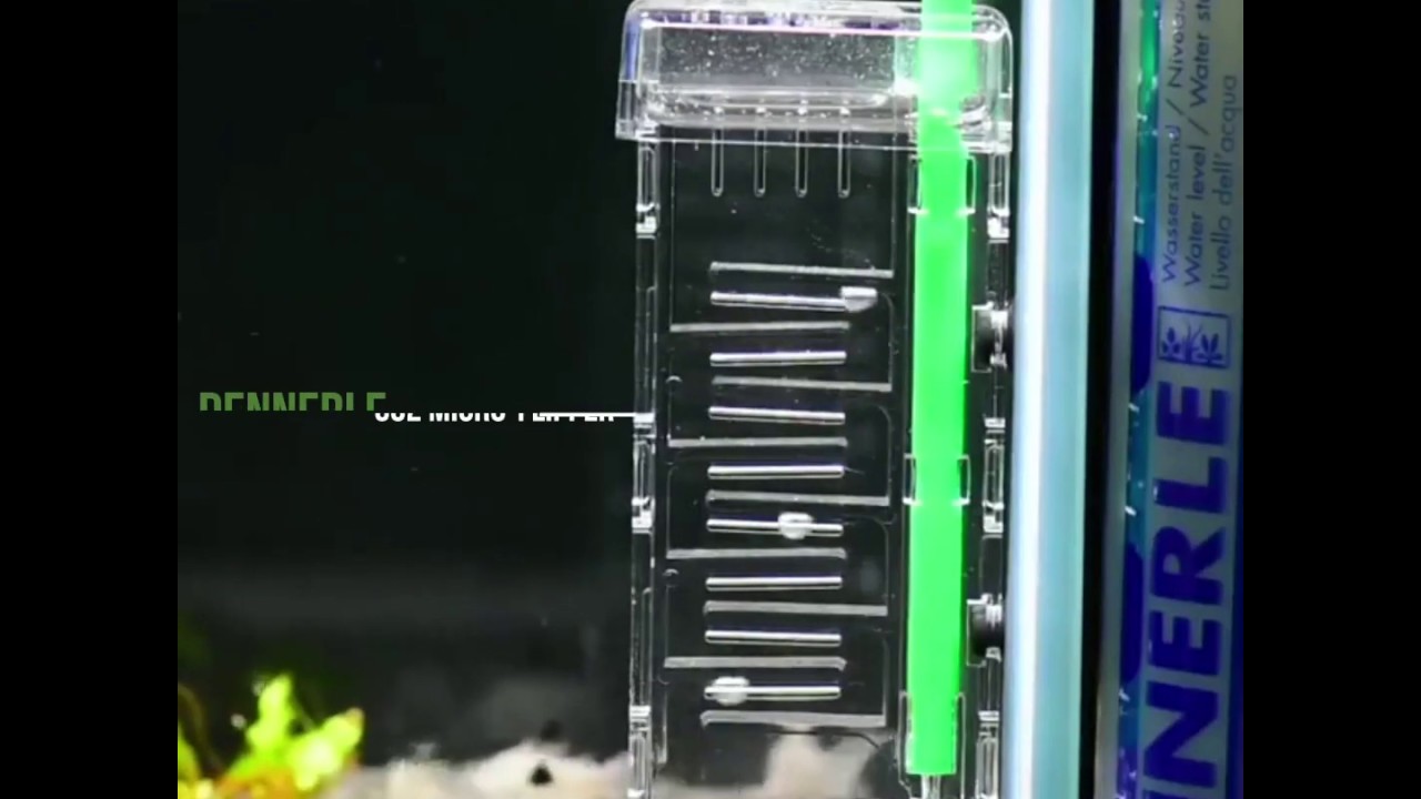 DENNERLE CO2 Micro-Flipper - YouTube