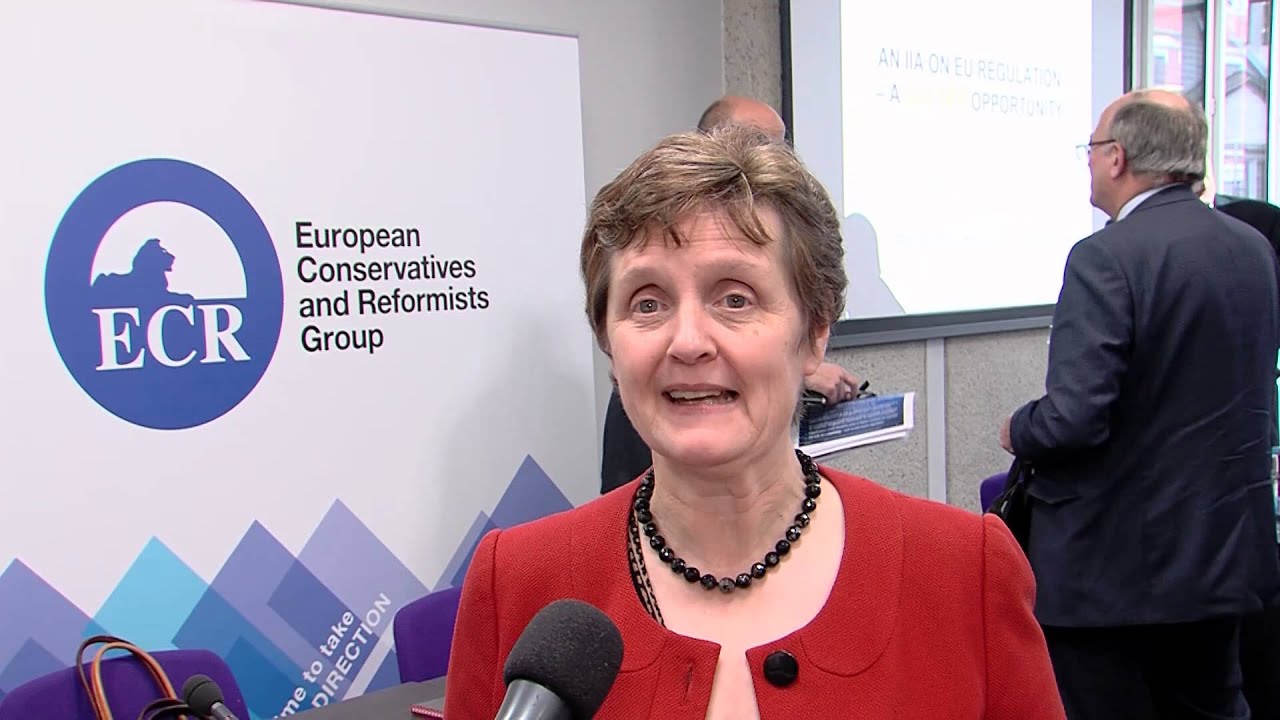 Anthea McINTYRE MEP chairing the Better Regulation and Re-shoring ...