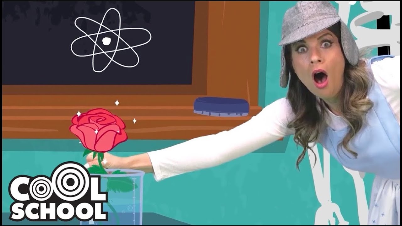 FULL STORY 🔎 THE MYSTERY OF THE MISSING ROSE 🌹 👑 Princess Detective | Ms. Booksy Bedtime Stories ...