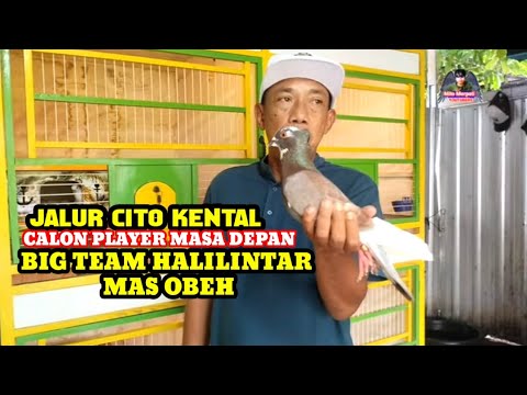 ️CALON PLAYER MASA DEPAN JALUR CITO KENTAL‼️BIG TEAM HALILINTAR MAS SOBEH - YouTube