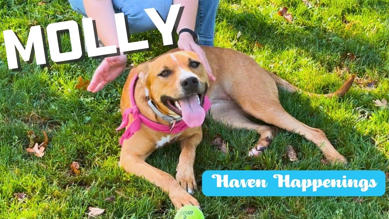 Haven Happenings: Meet The Amazing Molly! Zumba Bash is This Saturday ...