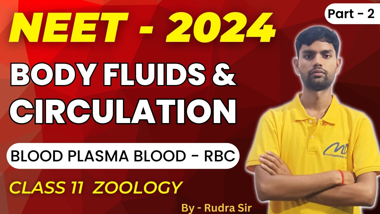 BODY FLUIDS AND CIRCULATION CLASS 11 | BLOOD PLASMA | BLOOD RBC | NEET ...